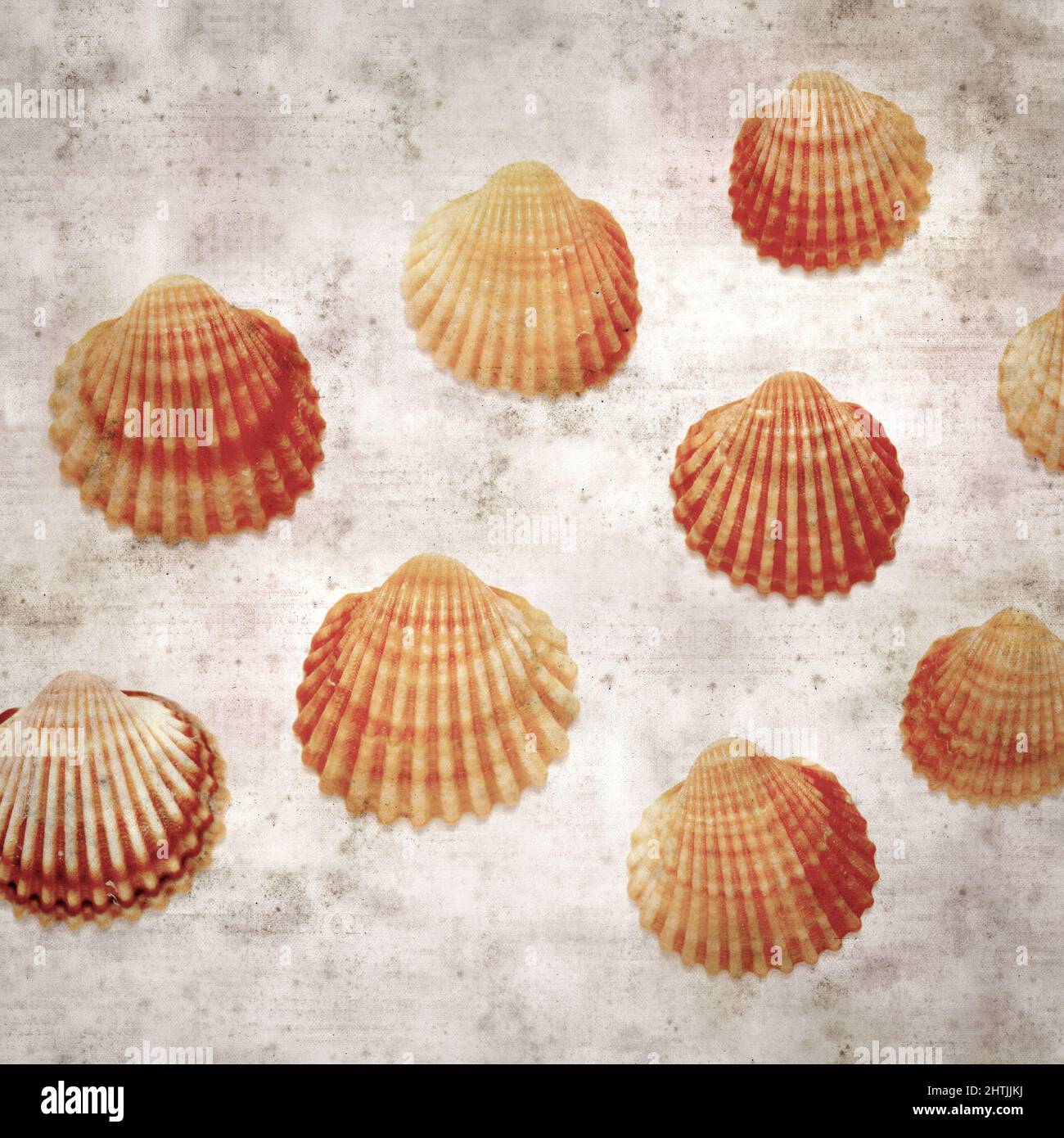 stylish textured old paper background with cockle shells Stock Photo ...