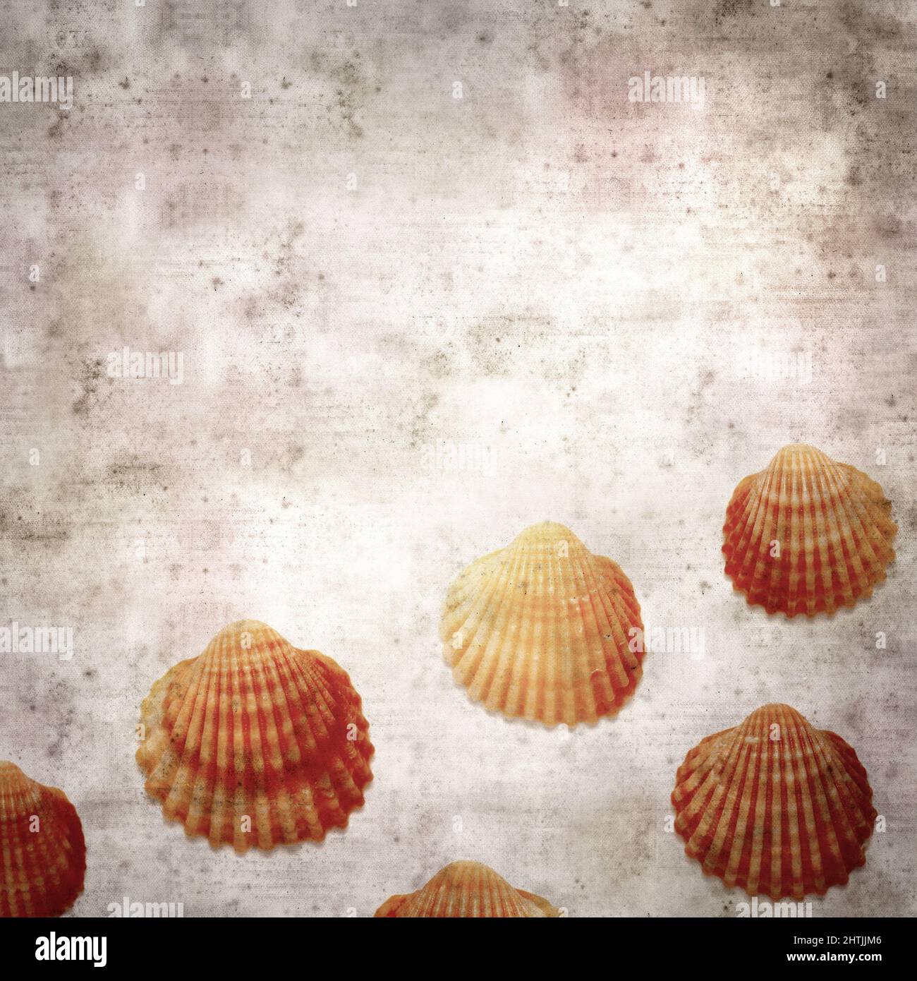 stylish textured old paper background with cockle shells Stock Photo ...