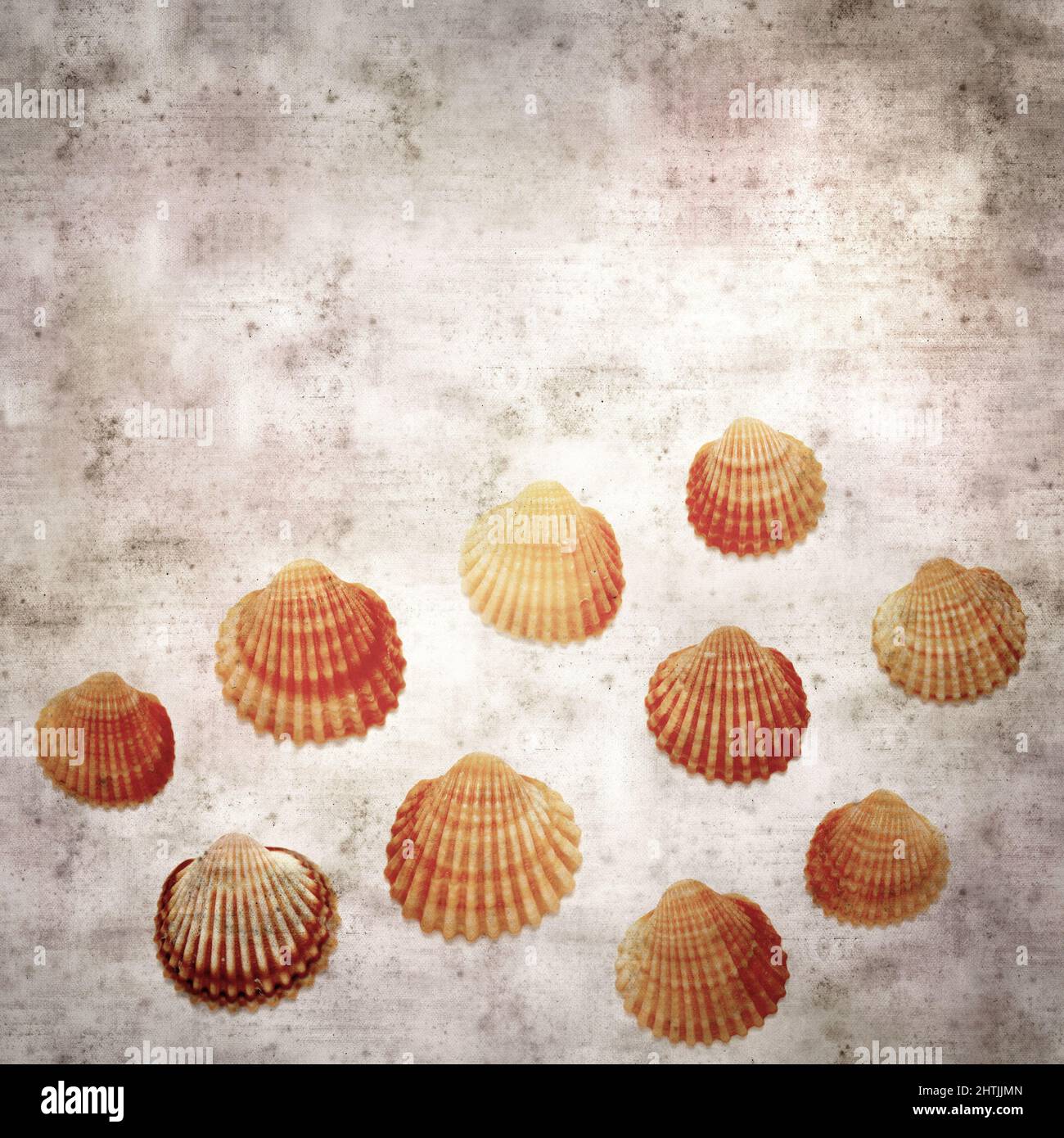 stylish textured old paper background with cockle shells Stock Photo ...