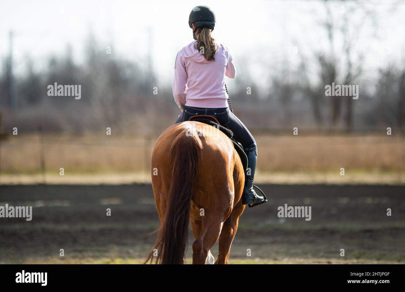 Young pretty girl riding a horse Stock Photo - Alamy