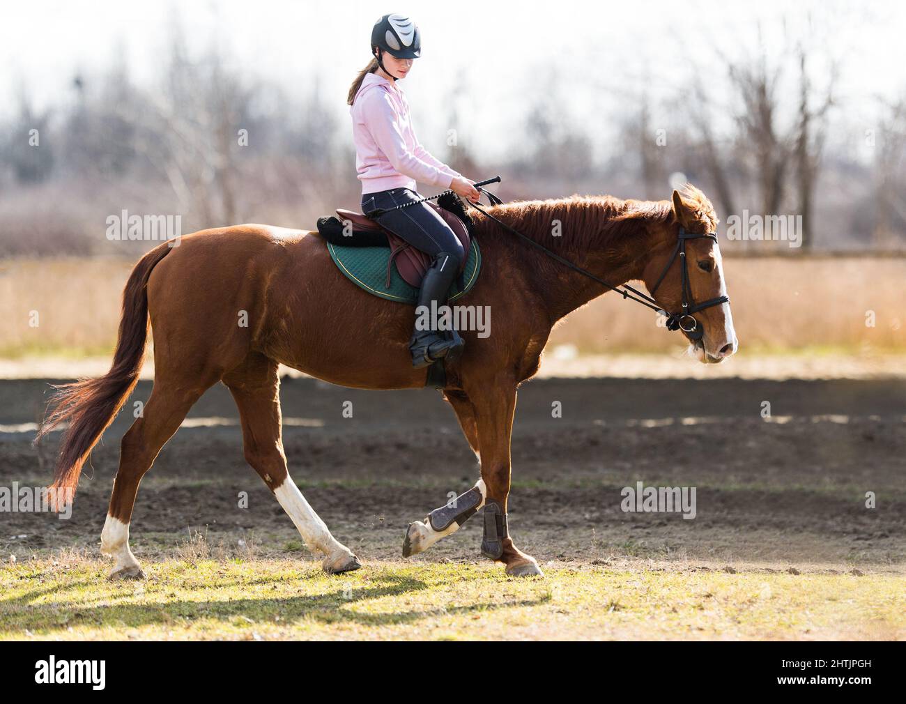 Young pretty girl riding a horse Stock Photo - Alamy