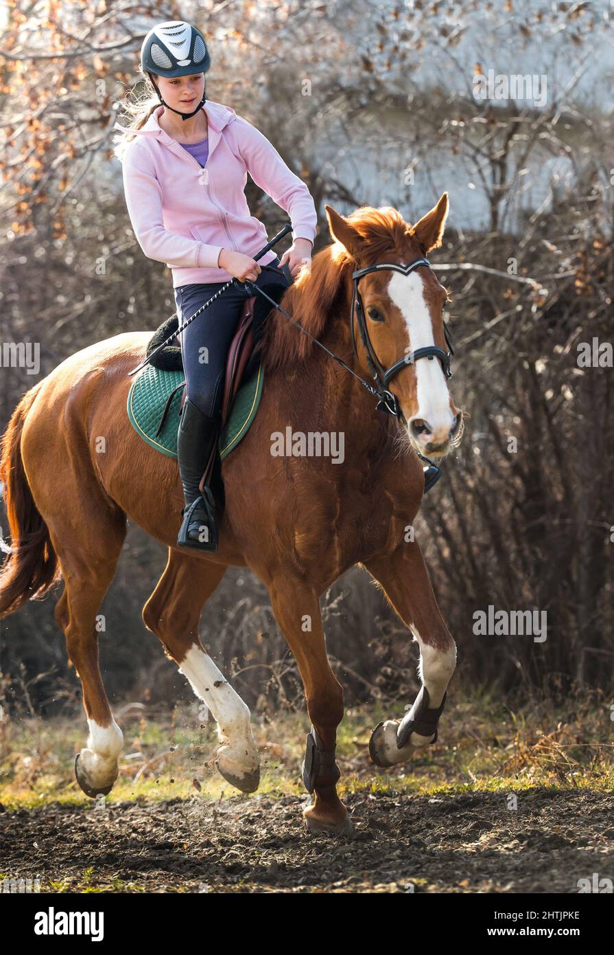 Young pretty girl riding a horse Stock Photo - Alamy