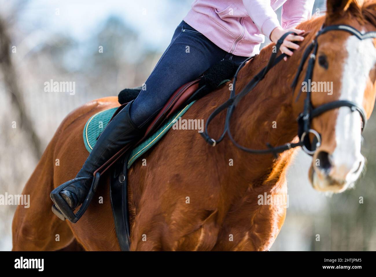 Horseback training rural hi-res stock photography and images - Alamy
