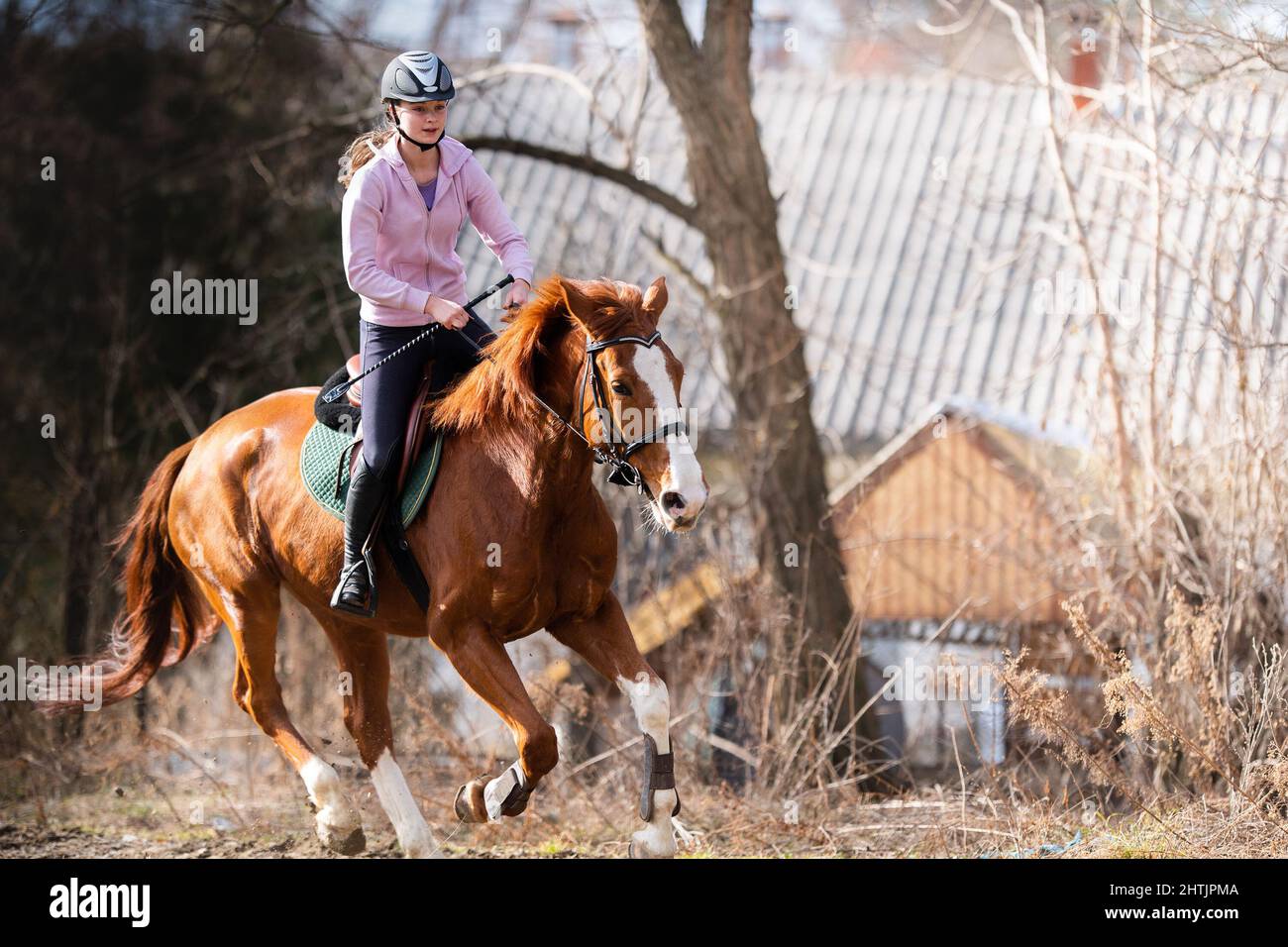 Young pretty girl riding a horse Stock Photo - Alamy