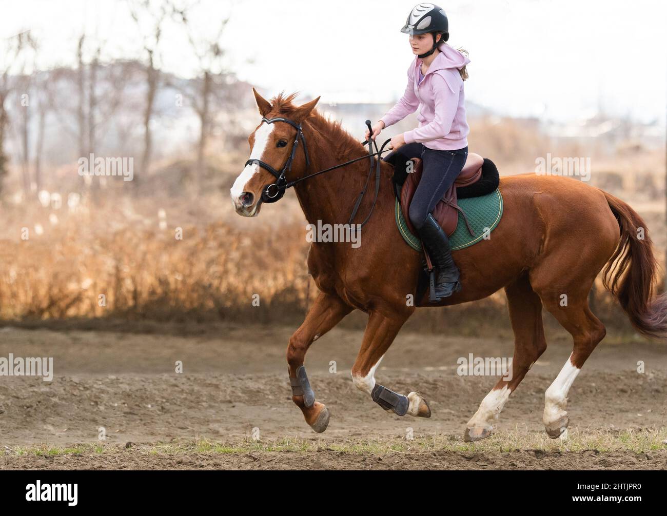 Young pretty girl riding a horse Stock Photo - Alamy