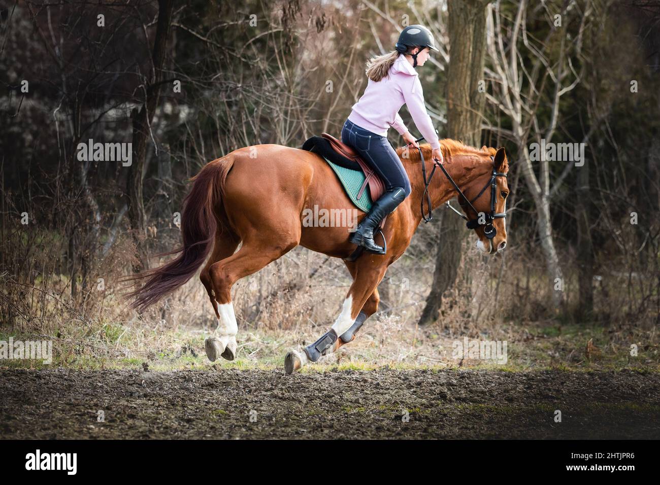 Young pretty girl riding a horse Stock Photo - Alamy
