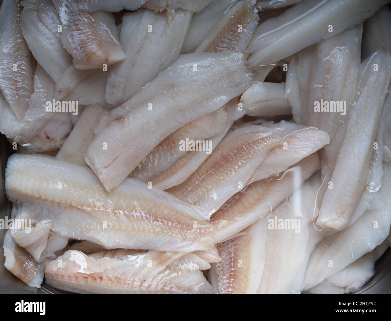 Fresh wet fish, cod and haddock at Compo's fish and chip restaurant and ...