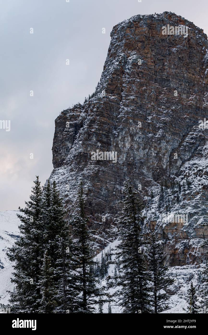 A vertical shot of a tall snowy cliff with trees Stock Photo - Alamy