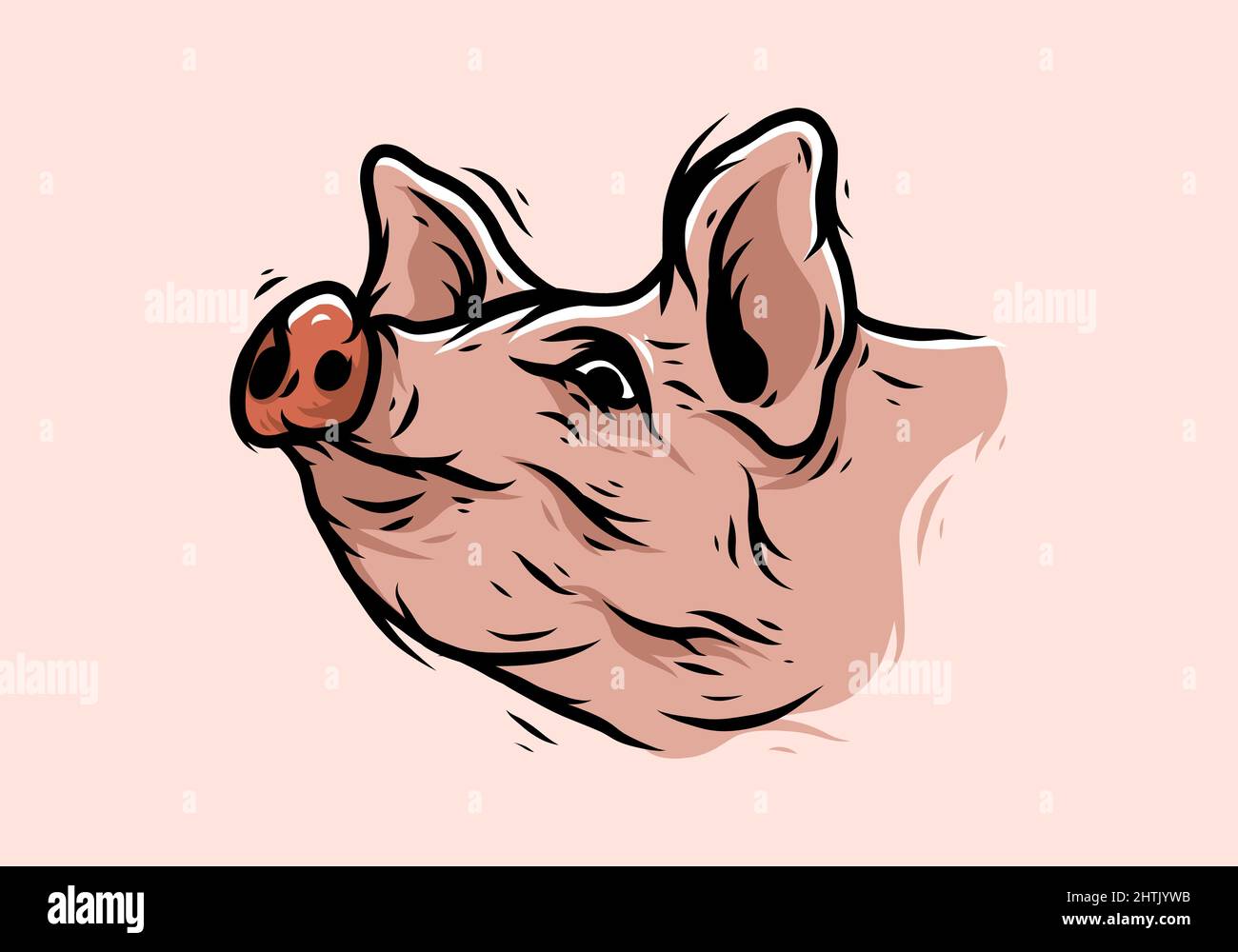 Vintage pig head illustration drawing design Stock Vector Image & Art ...