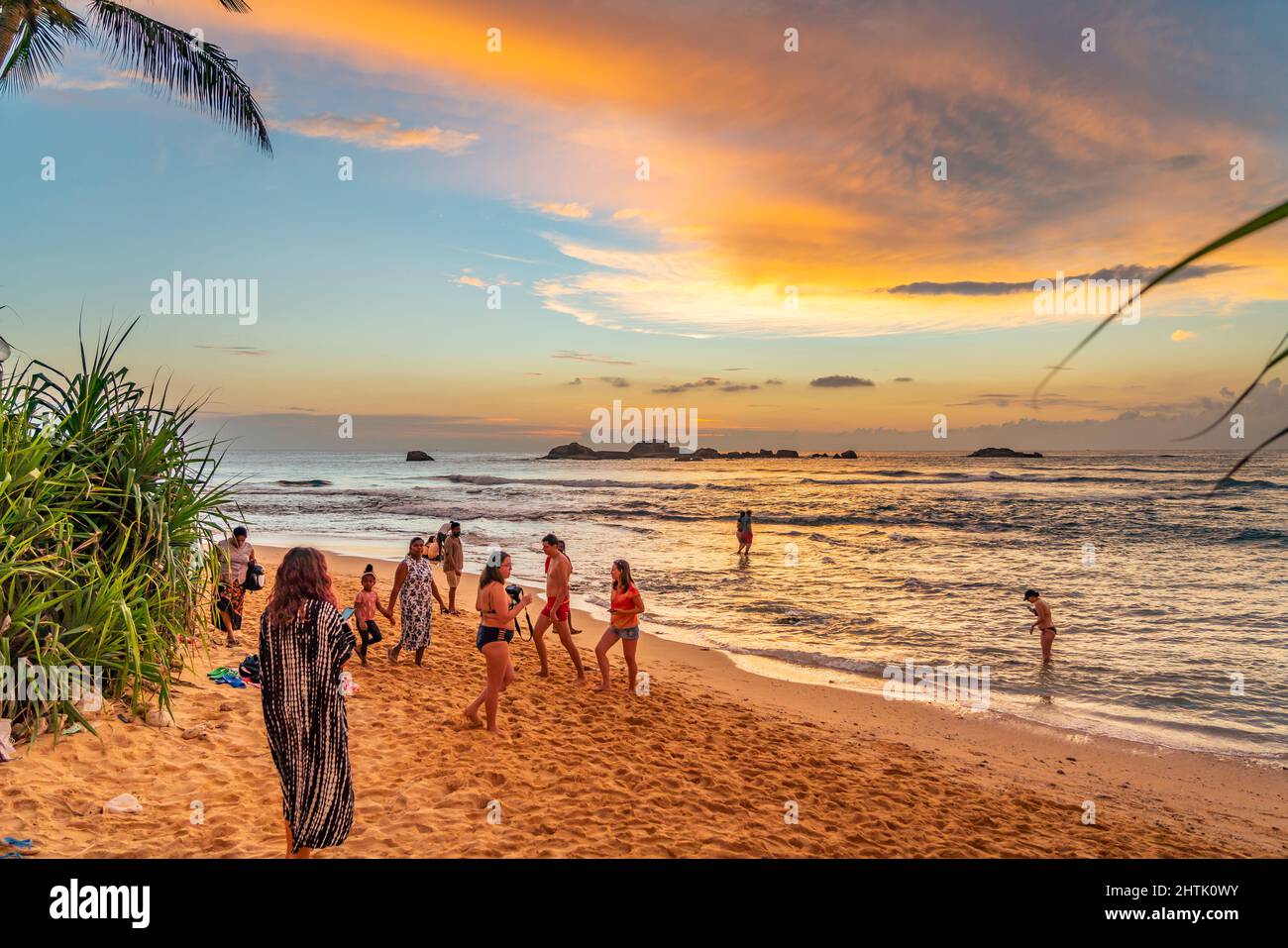 Turtles sri lanka hi-res stock photography and images - Alamy