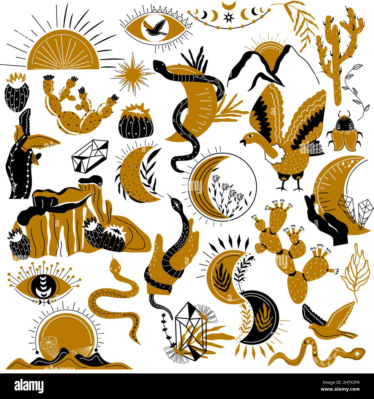 Cactus lunar Stock Vector Images - Alamy