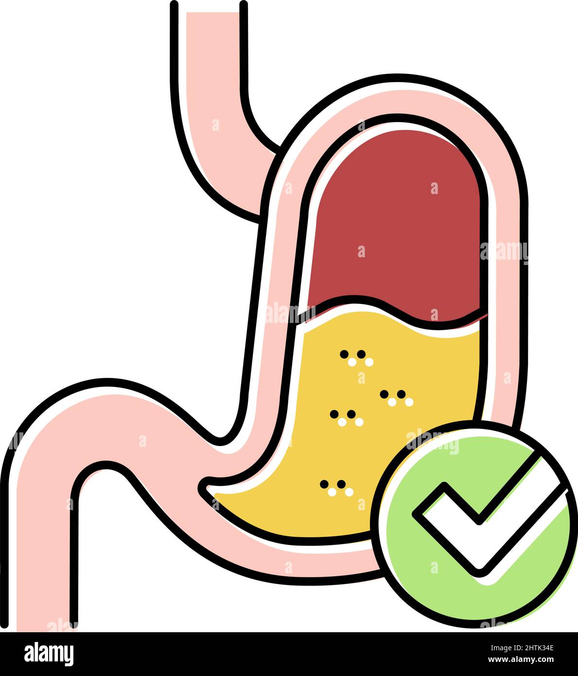 normal workin digestion system color icon vector illustration Stock ...
