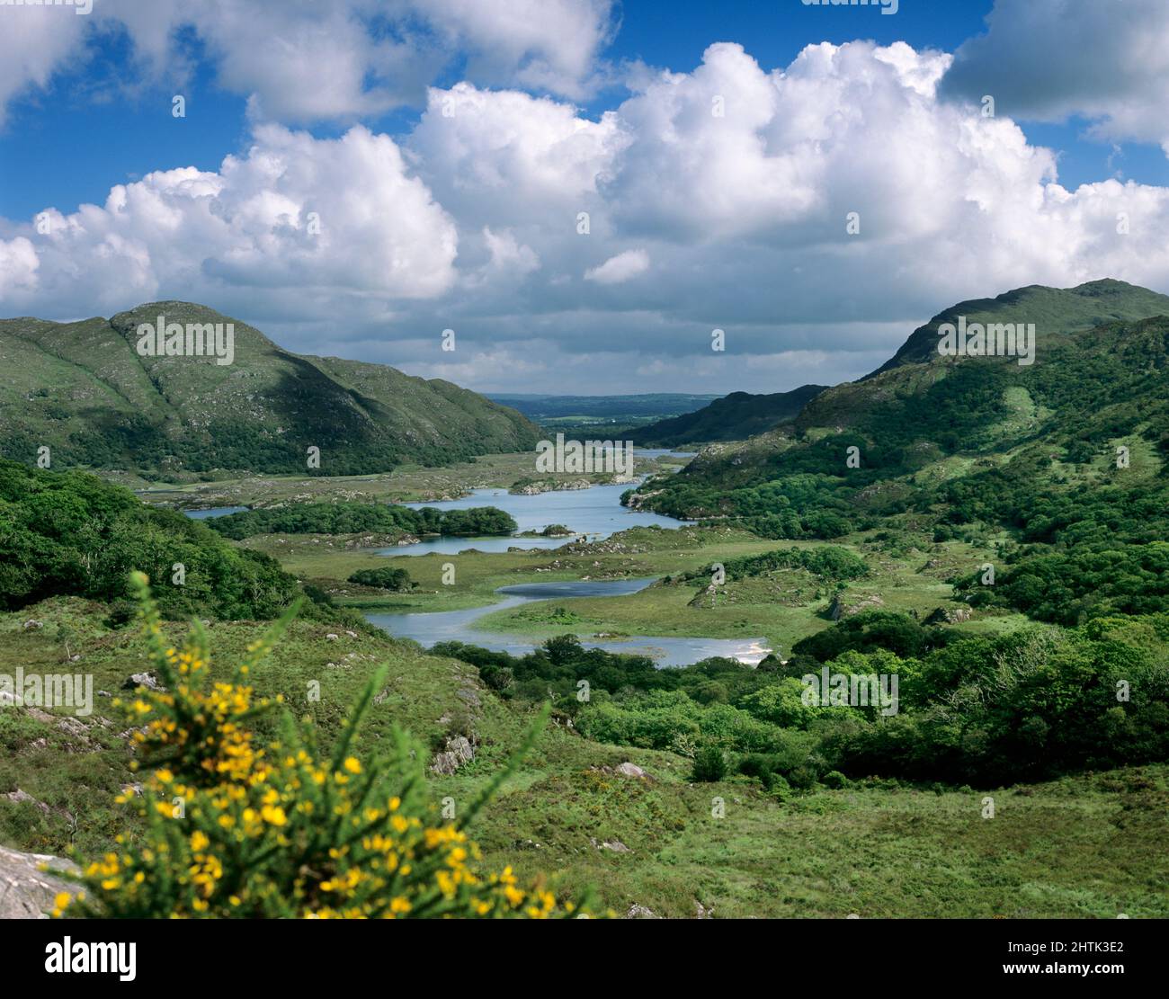 Killarney National Park. Ladies' View, looking down to the Upper Lake ...
