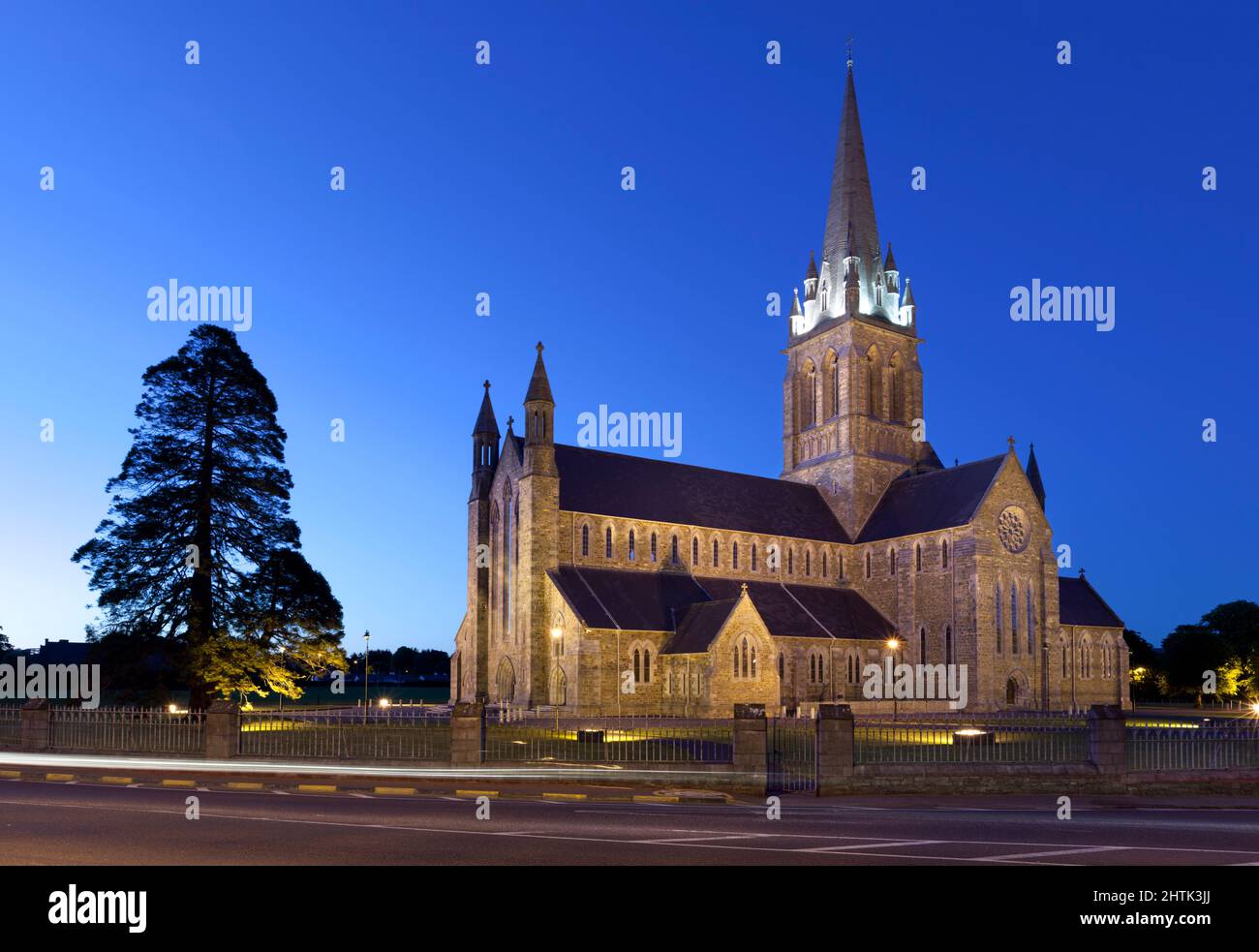St. Mary's Cathedral and Redwood tree at night, Killarney, County Kerry ...