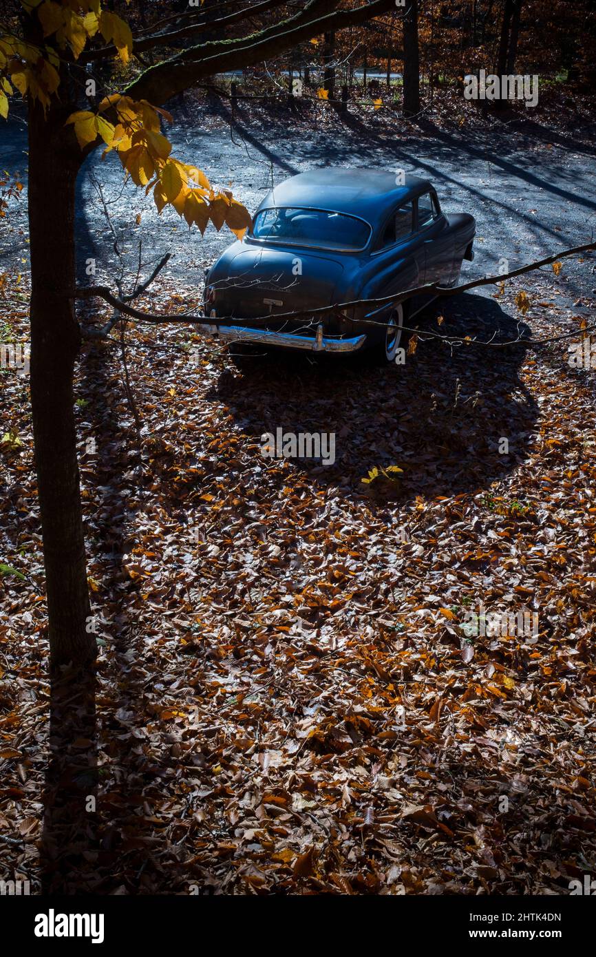 Rear end of parked Dodge Wayfarer Stock Photo - Alamy