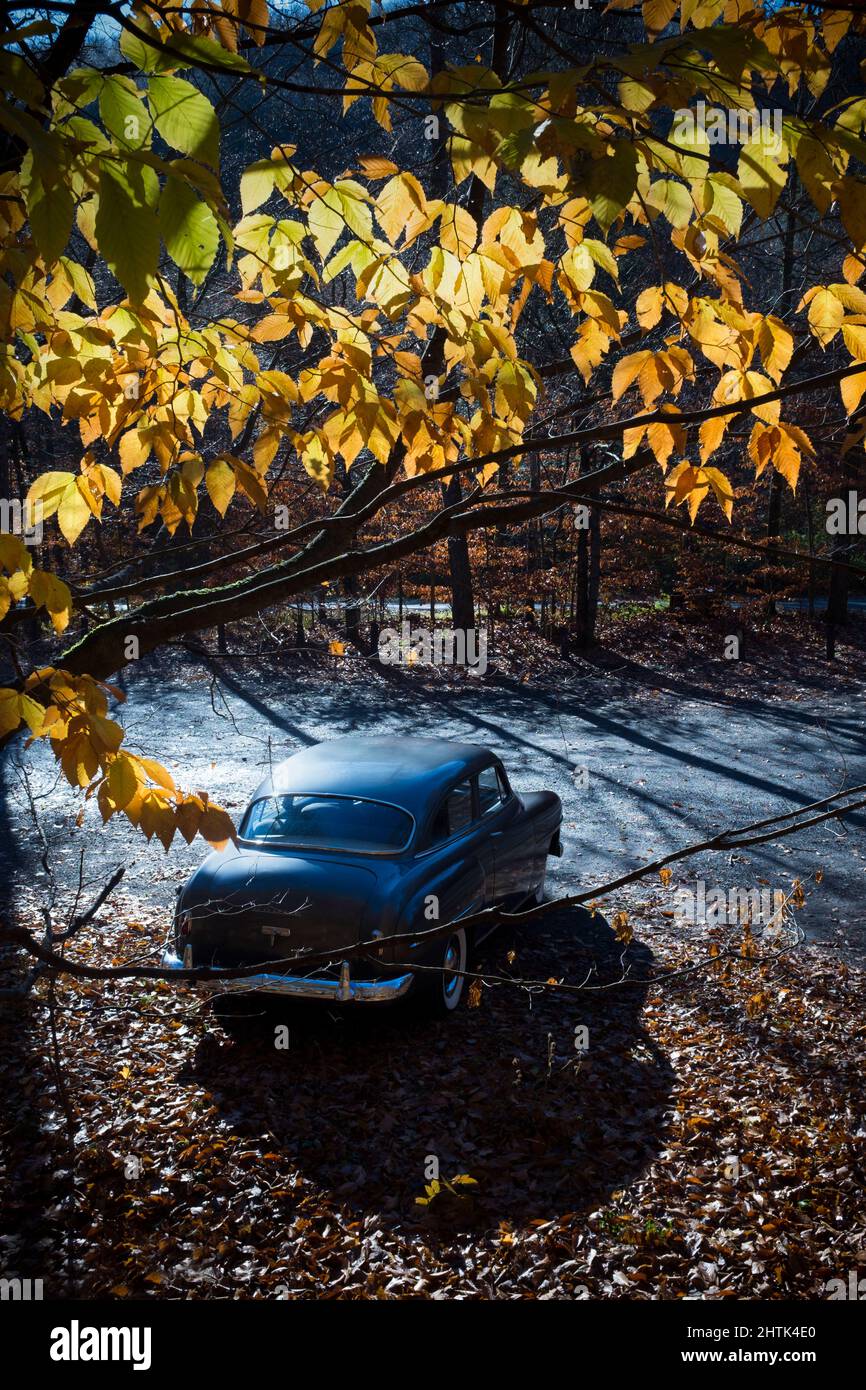 1940 vintage car rear view hi-res stock photography and images - Alamy