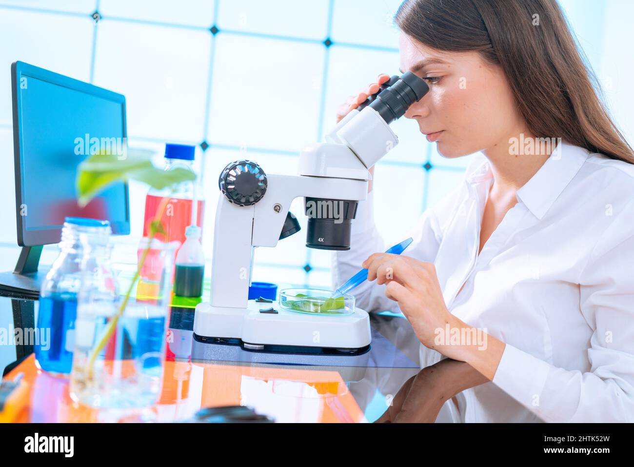 girl laboratory assistant examines a green plant under a microscope in the laboratory Stock ...