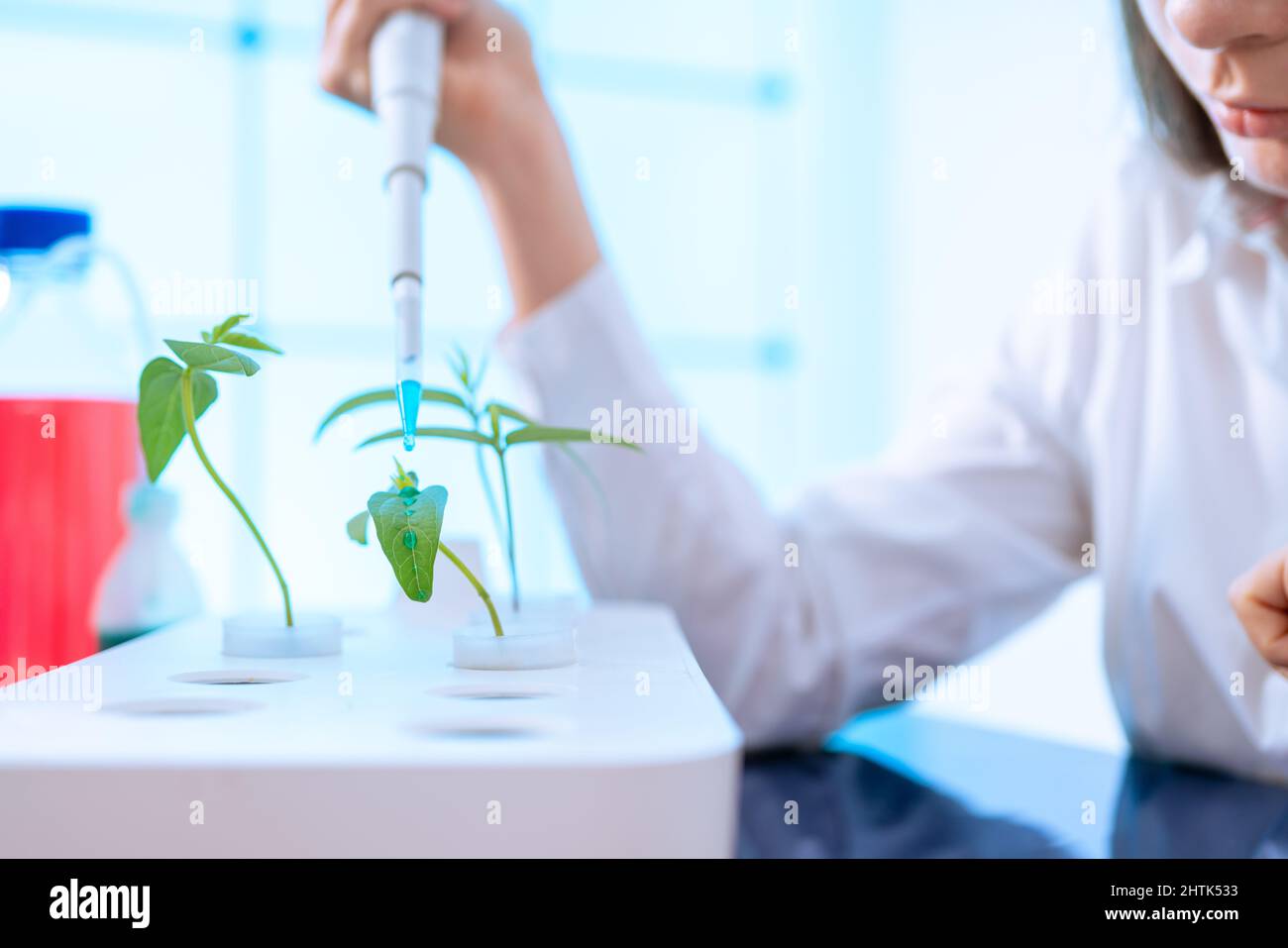 Herbicide lab hi-res stock photography and images - Alamy