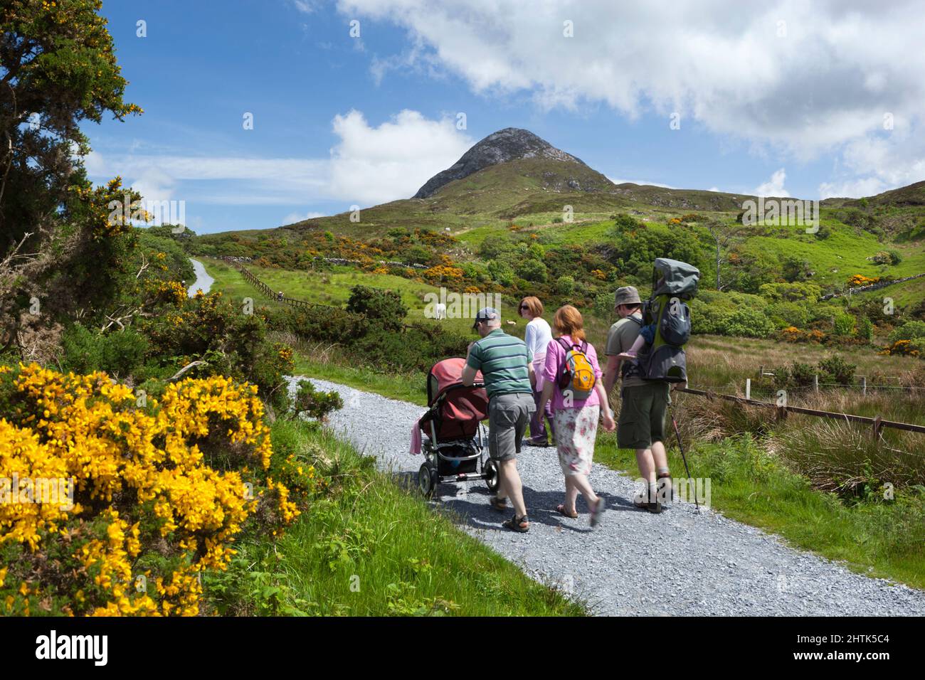 Diamond Hill with families beginning ascent, Letterfrack, Connemara ...