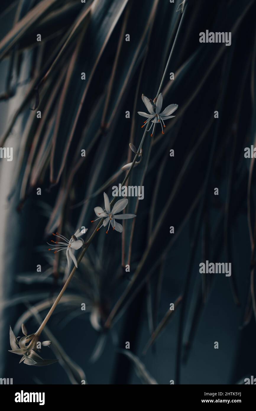 Vertical shot of beautiful flowers growing surrounded by lush greenery ...