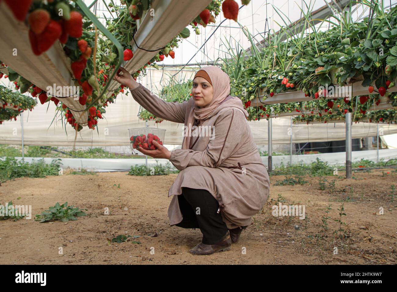 Gaza. 1st Mar, 2022. Walaa Abdel Moneim, a Palestinian engineer ...