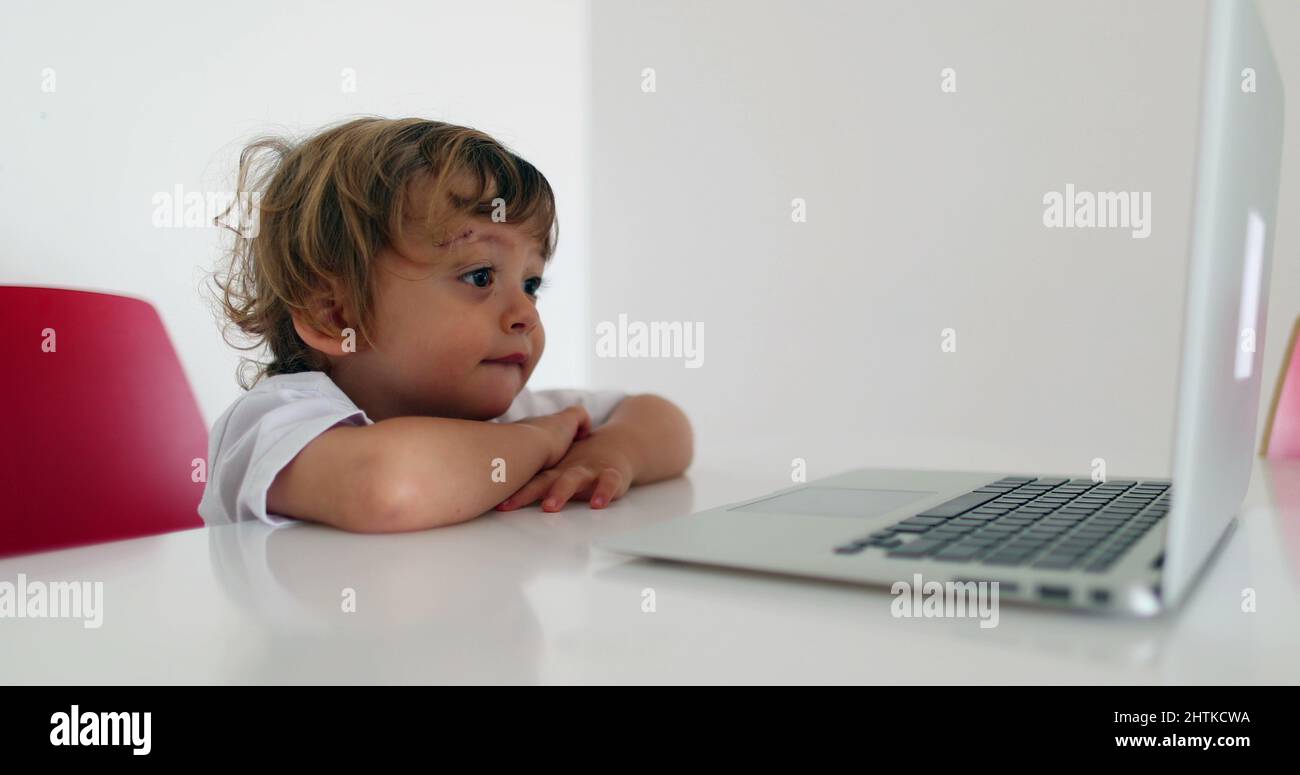 Little baby boy toddler watching cartoon on laptop computer Stock Photo ...