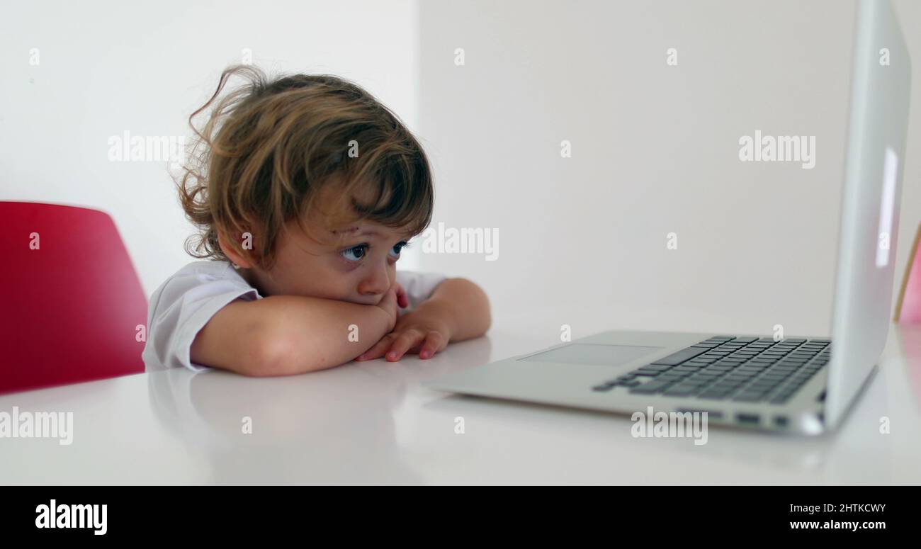 Little baby boy toddler watching cartoon on laptop computer Stock Photo ...