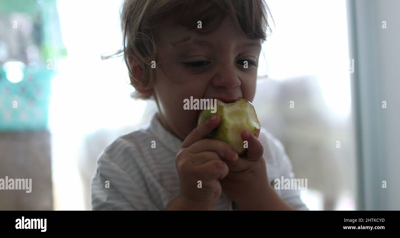 Toddler boy taking a bite of apple fruit healthy snack Stock Photo - Alamy