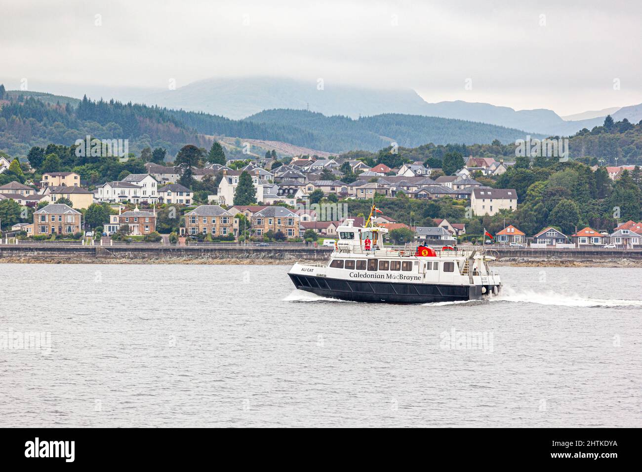 The Caledonian MacBrayne ferry Ali Cat on the Dunoon to Gourock route ...