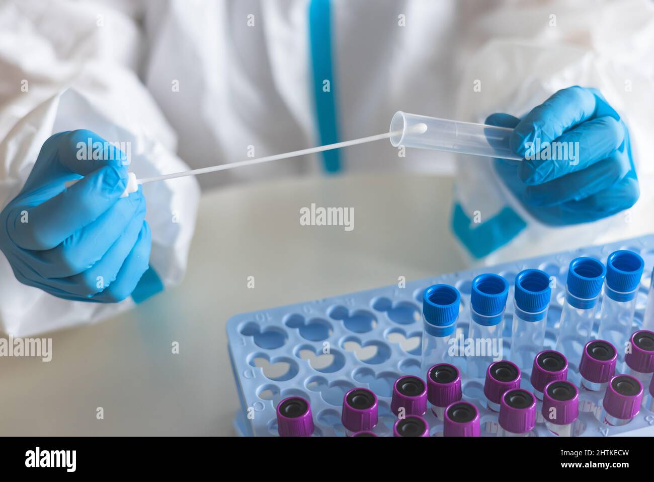 Process of coronavirus PCR antigen testing examination by nurse medic ...