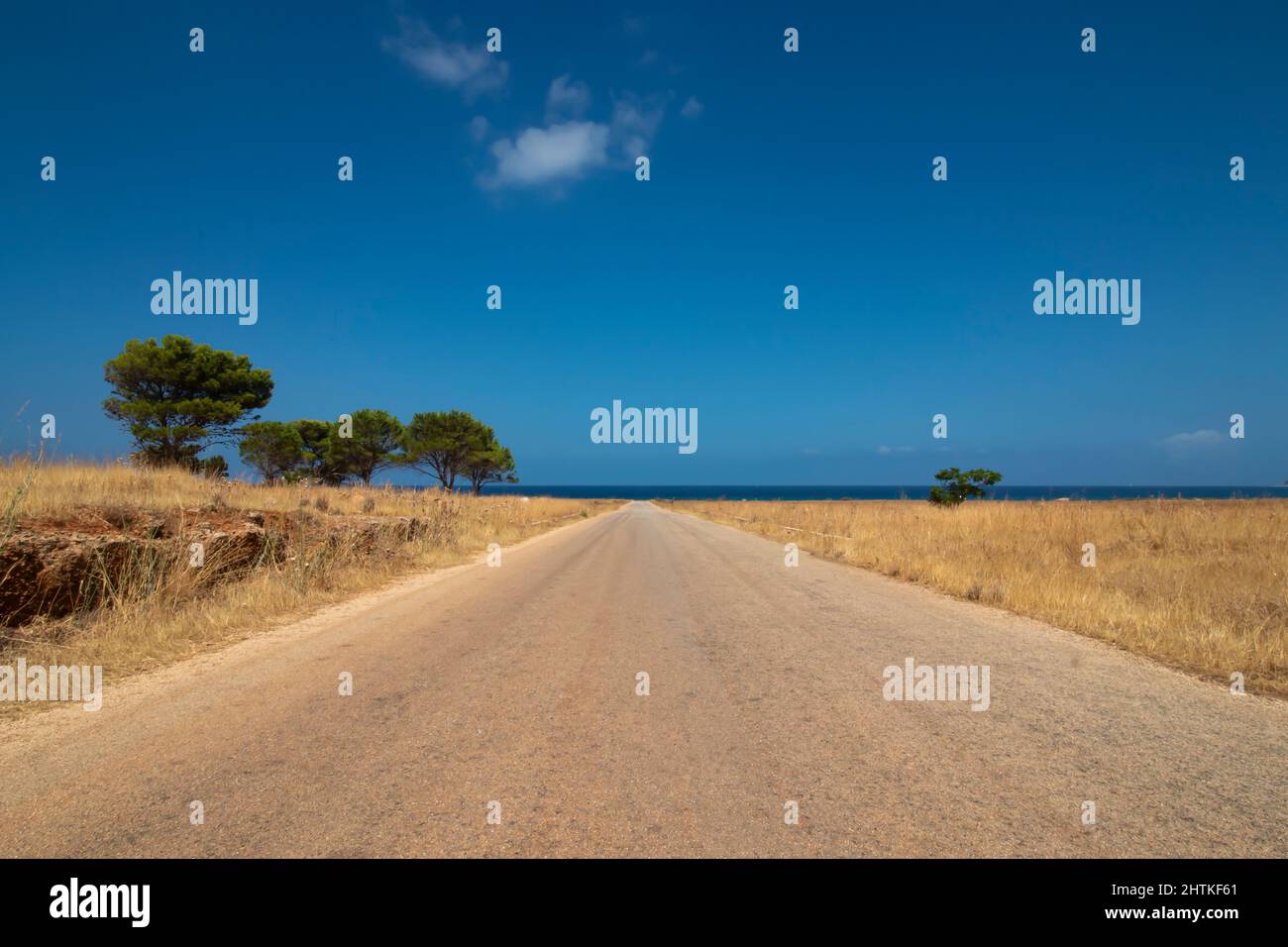 Monte Cofano Nature Reserve, where yellow predominates and contrasts ...