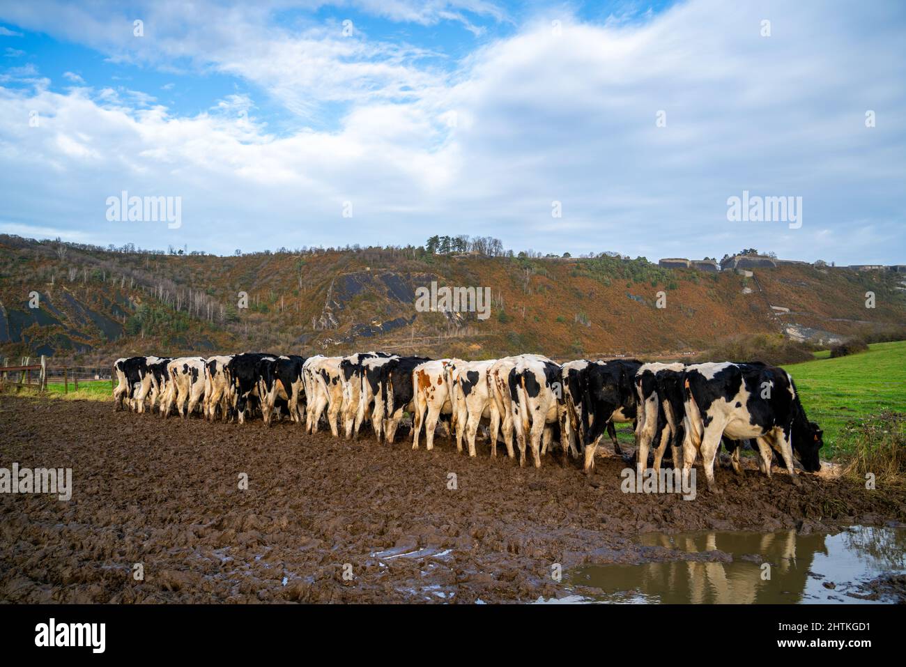Row feed hi-res stock photography and images - Alamy