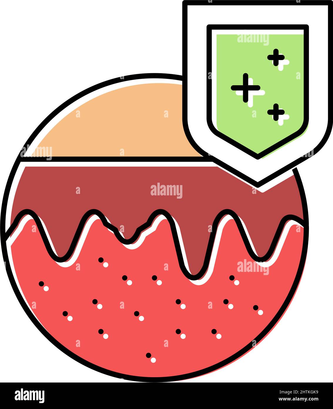 skin immunity defense color icon vector illustration Stock Vector Image ...