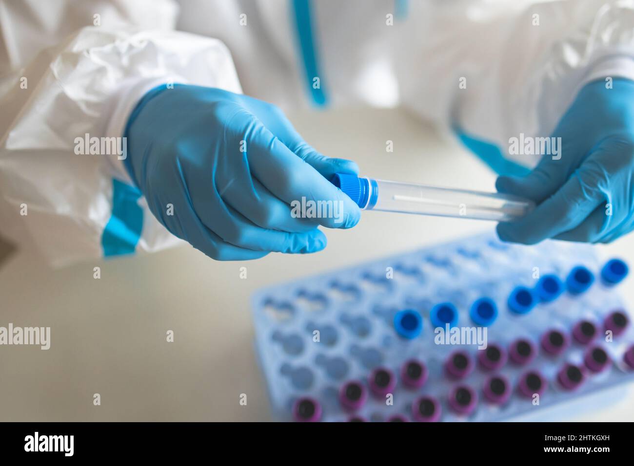 Process of coronavirus PCR antigen testing examination by nurse medic ...