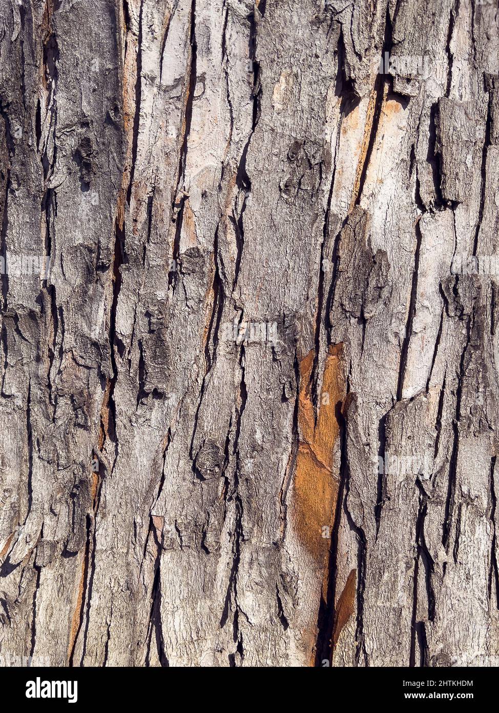 Crust surface hi-res stock photography and images - Alamy