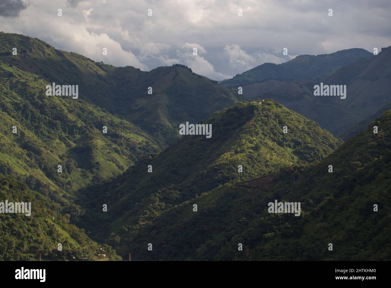 Medellin forest hi-res stock photography and images - Alamy