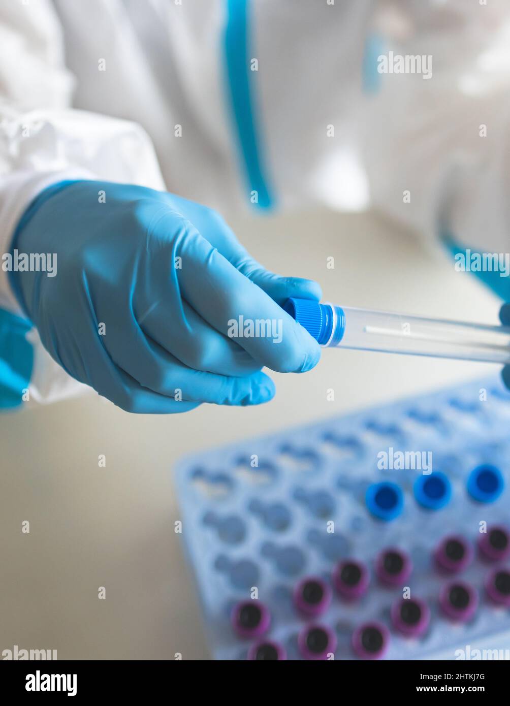 Process of coronavirus PCR antigen testing examination by nurse medic ...