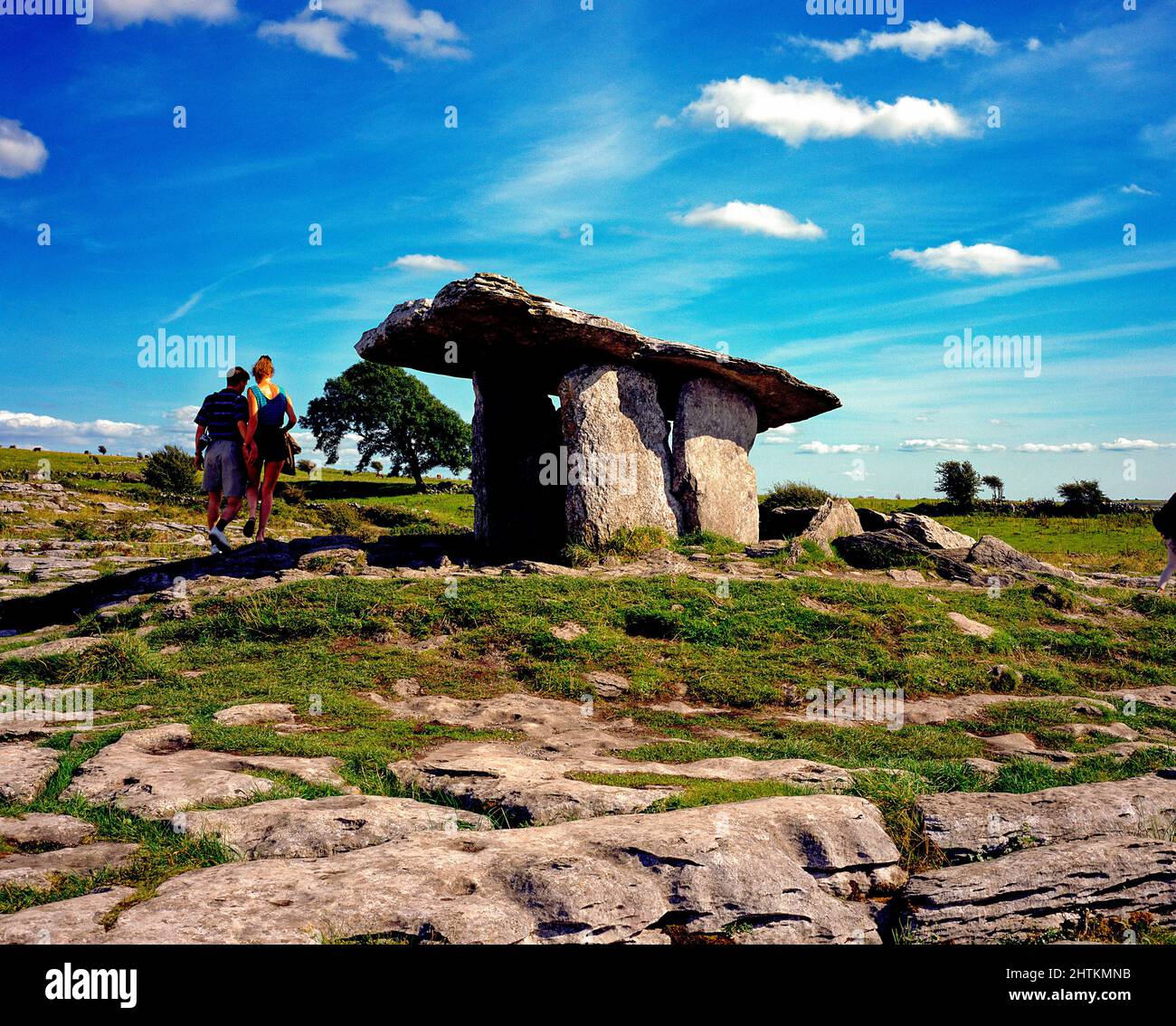 Poulnabrone Dolmen, Portal Tomb, The Burren, County Clare, Wild ...