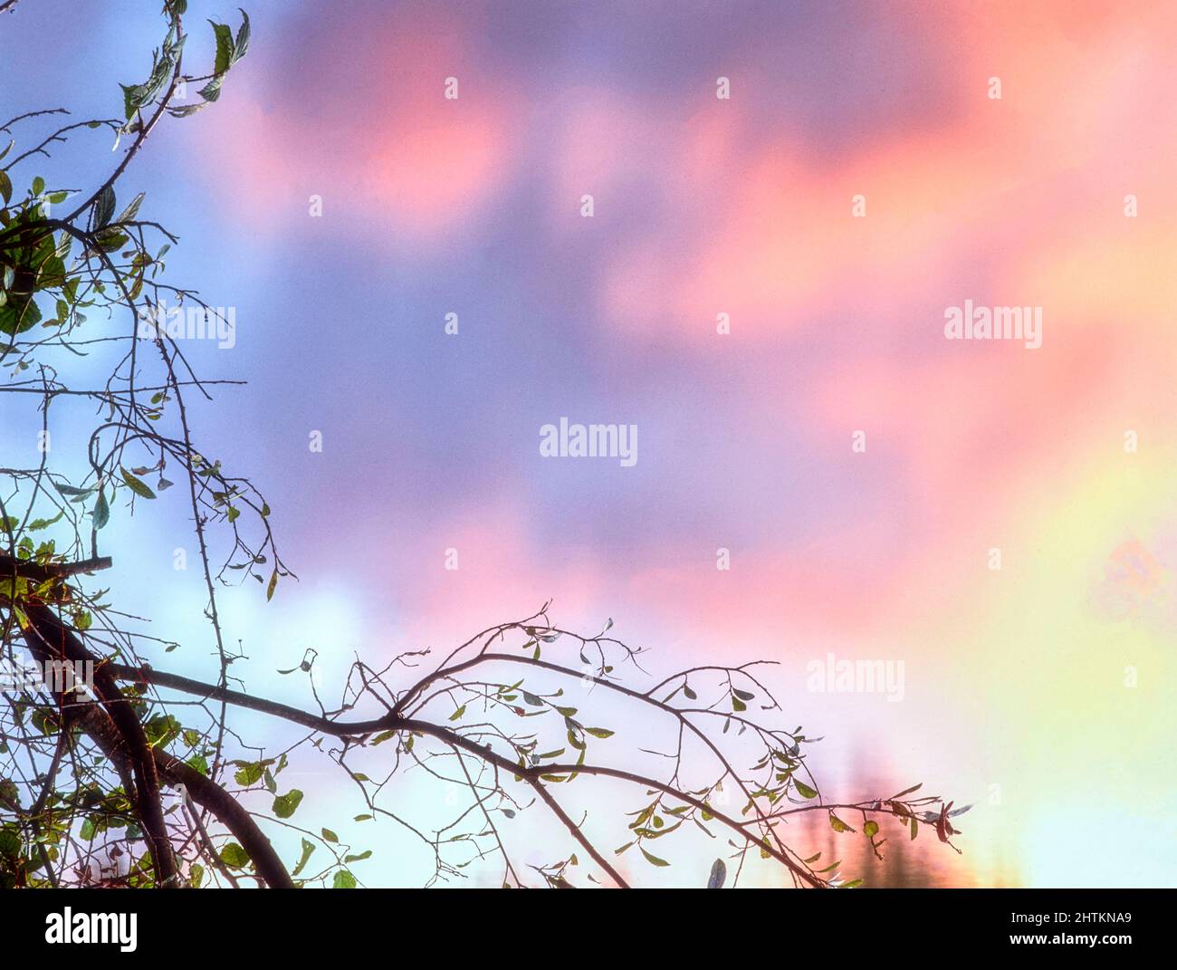 Natural patterns and textures in the environment, intimate landscape ...