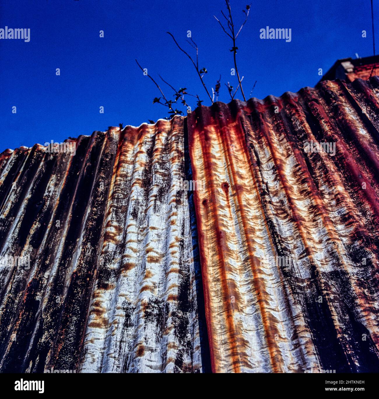Colourful rusted corrugated iron sheet pointing up into a blue sky ...