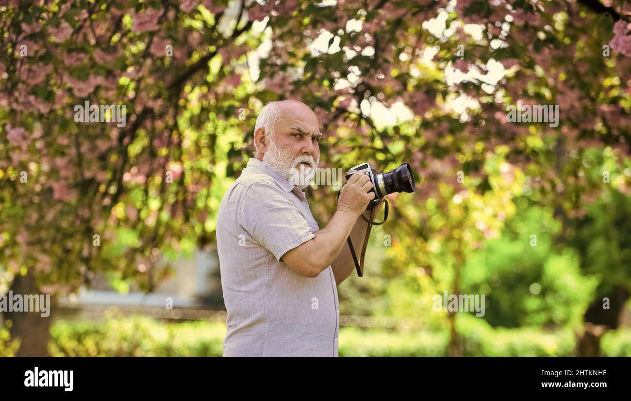 photographer man take sakura cheery blossom photo. Cherry blossoming ...