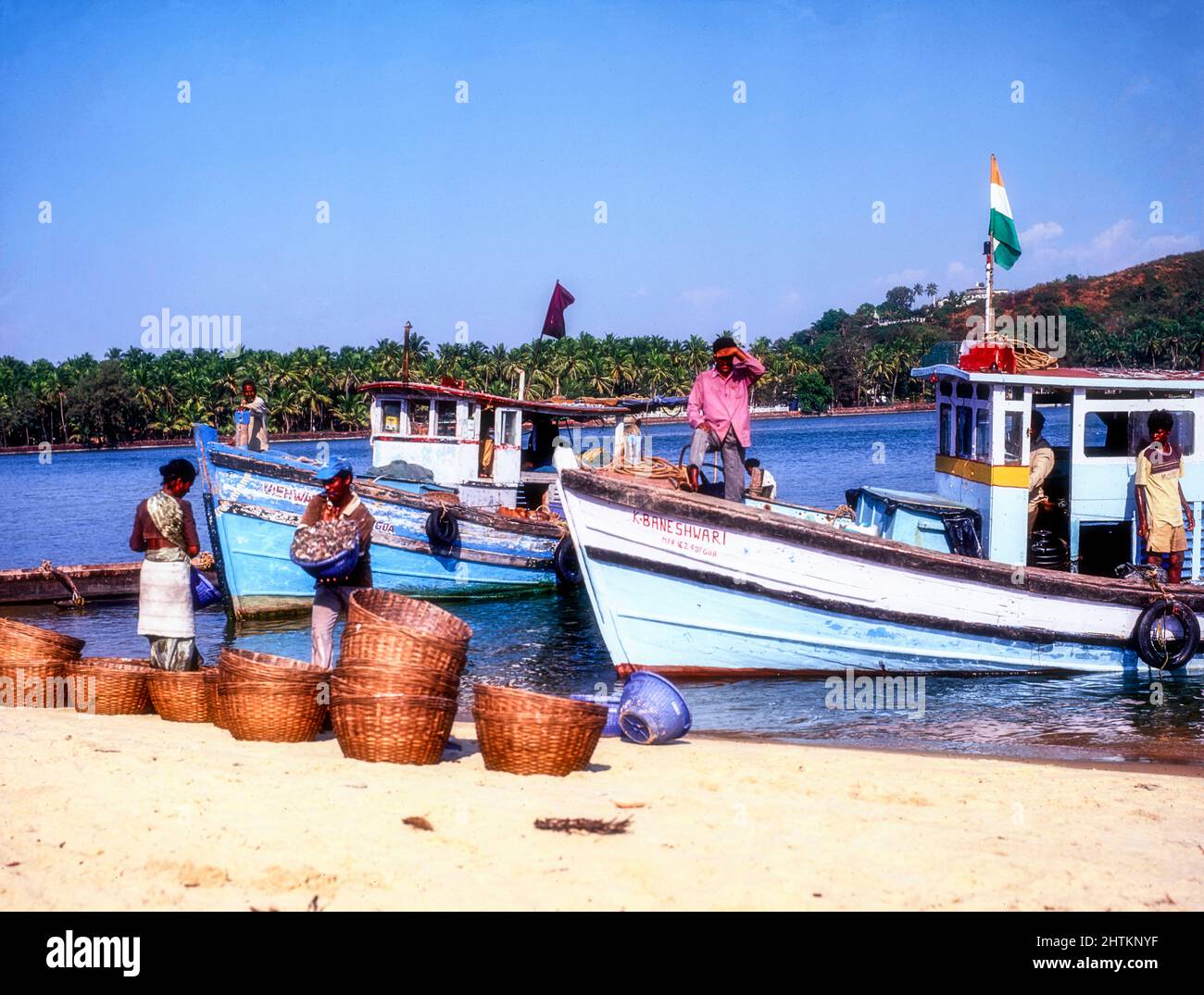 The catch, sustainable commercial fishing in Goa, India. Beachside ...