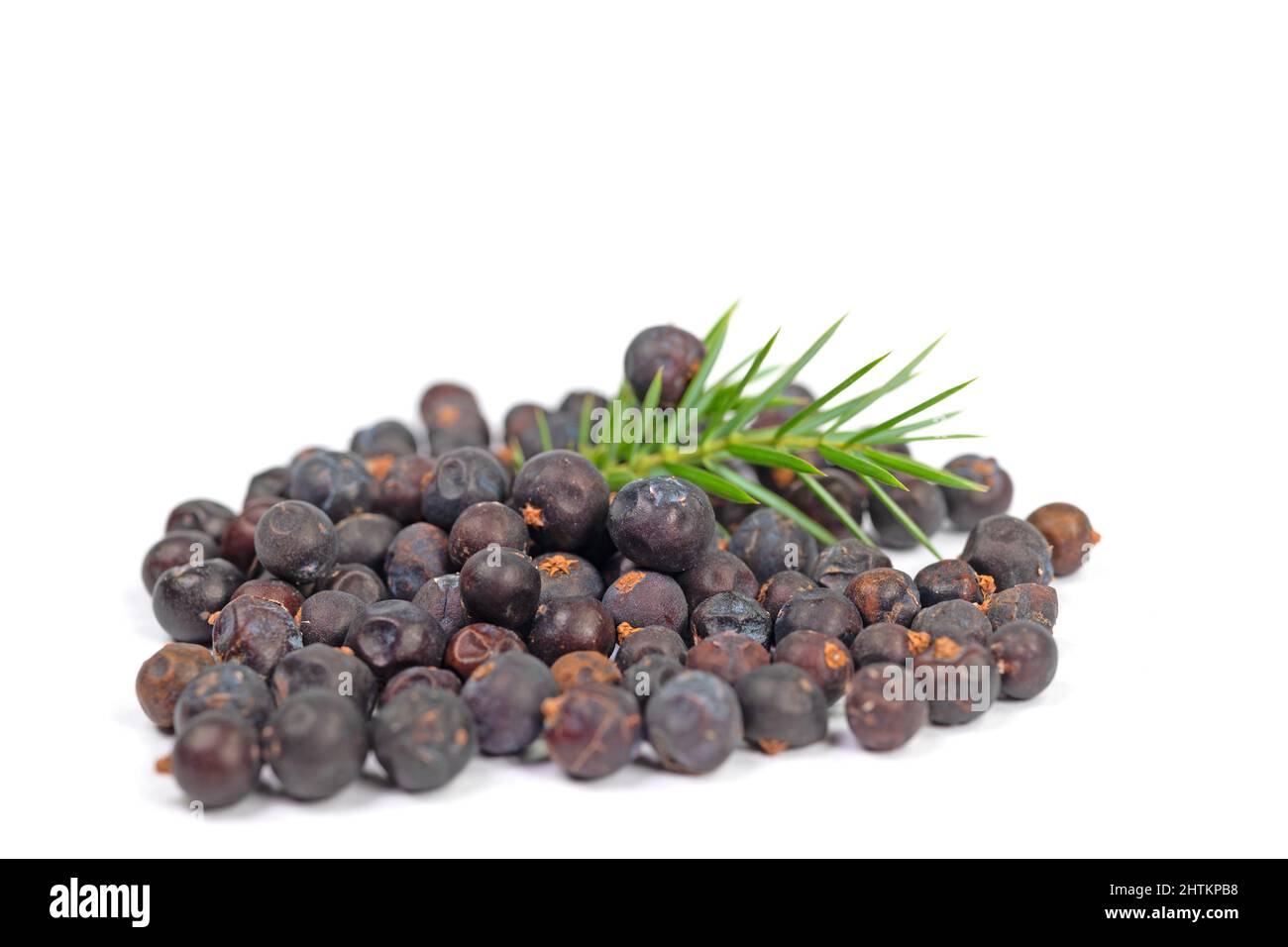 Dried juniper berries against white background Stock Photo - Alamy