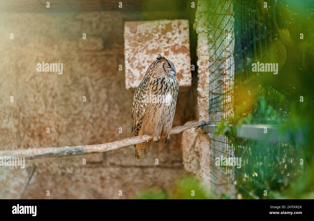 Sleeping spectator hi-res stock photography and images - Alamy