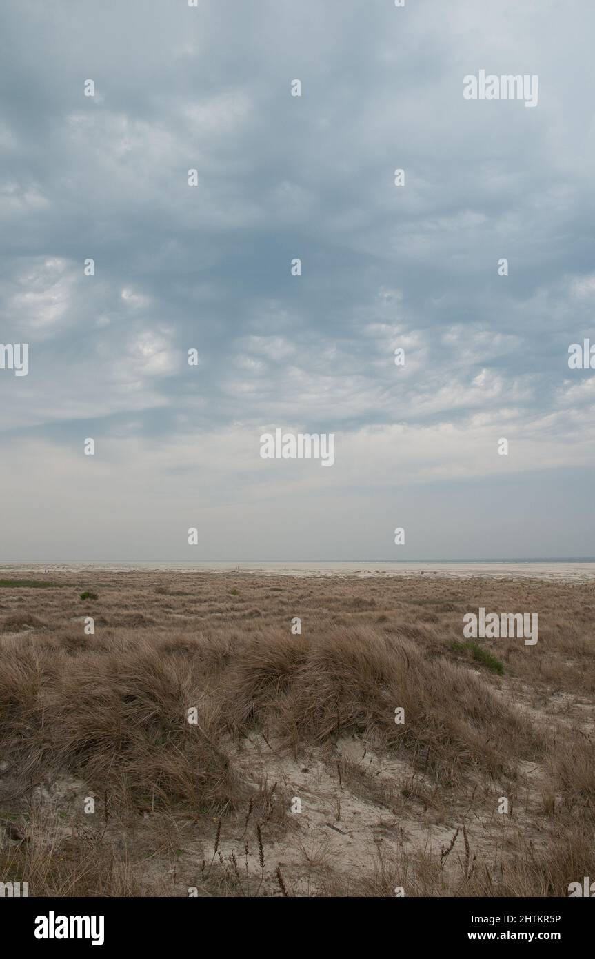 the island of Borkum in germany Stock Photo - Alamy