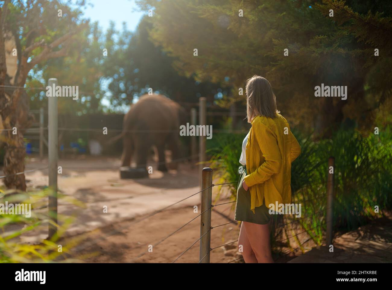 Woman watching elephant in national zoo Stock Photo - Alamy