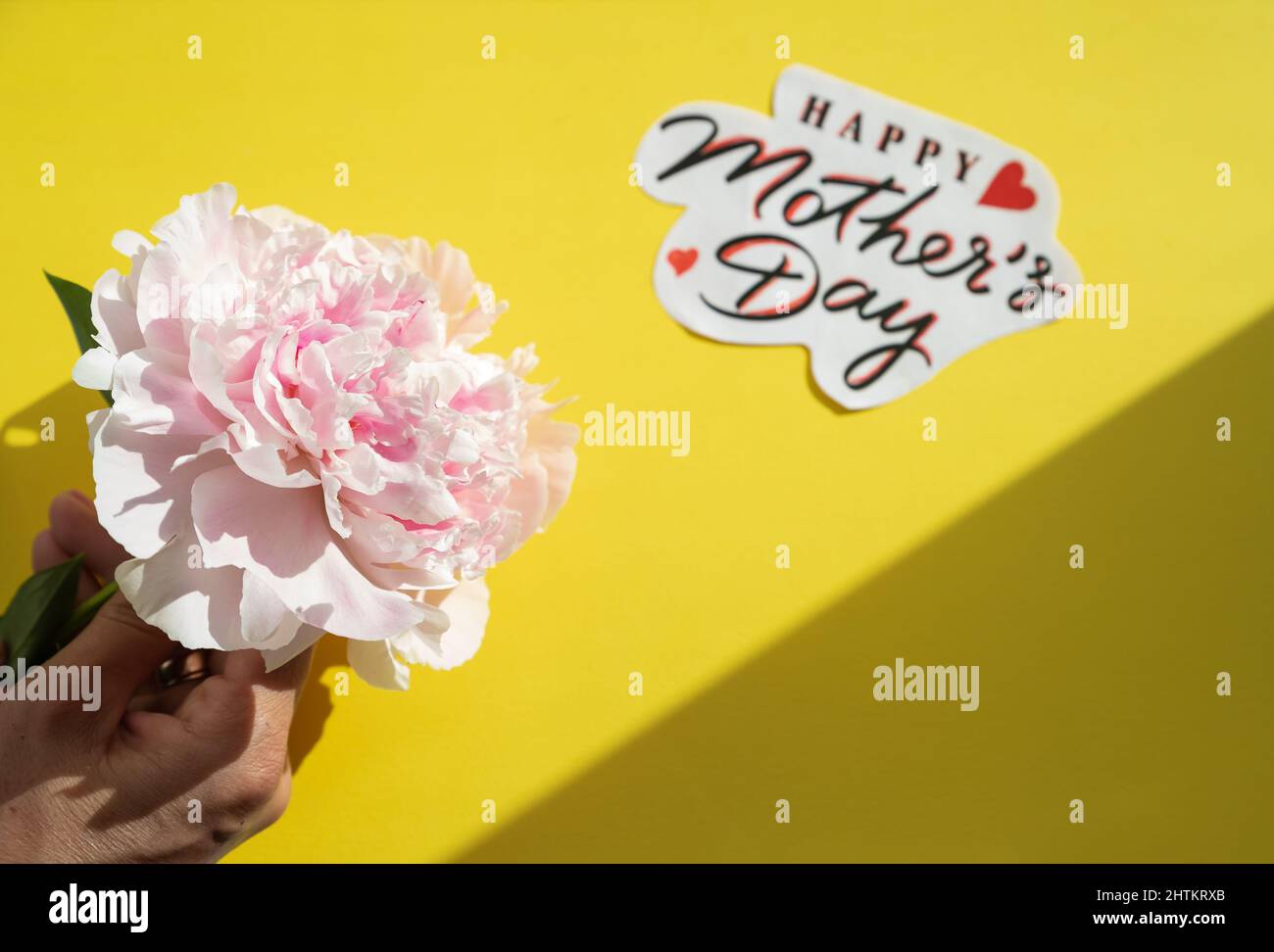 happy mother's day text and pink peonies on yellow background, top view ...