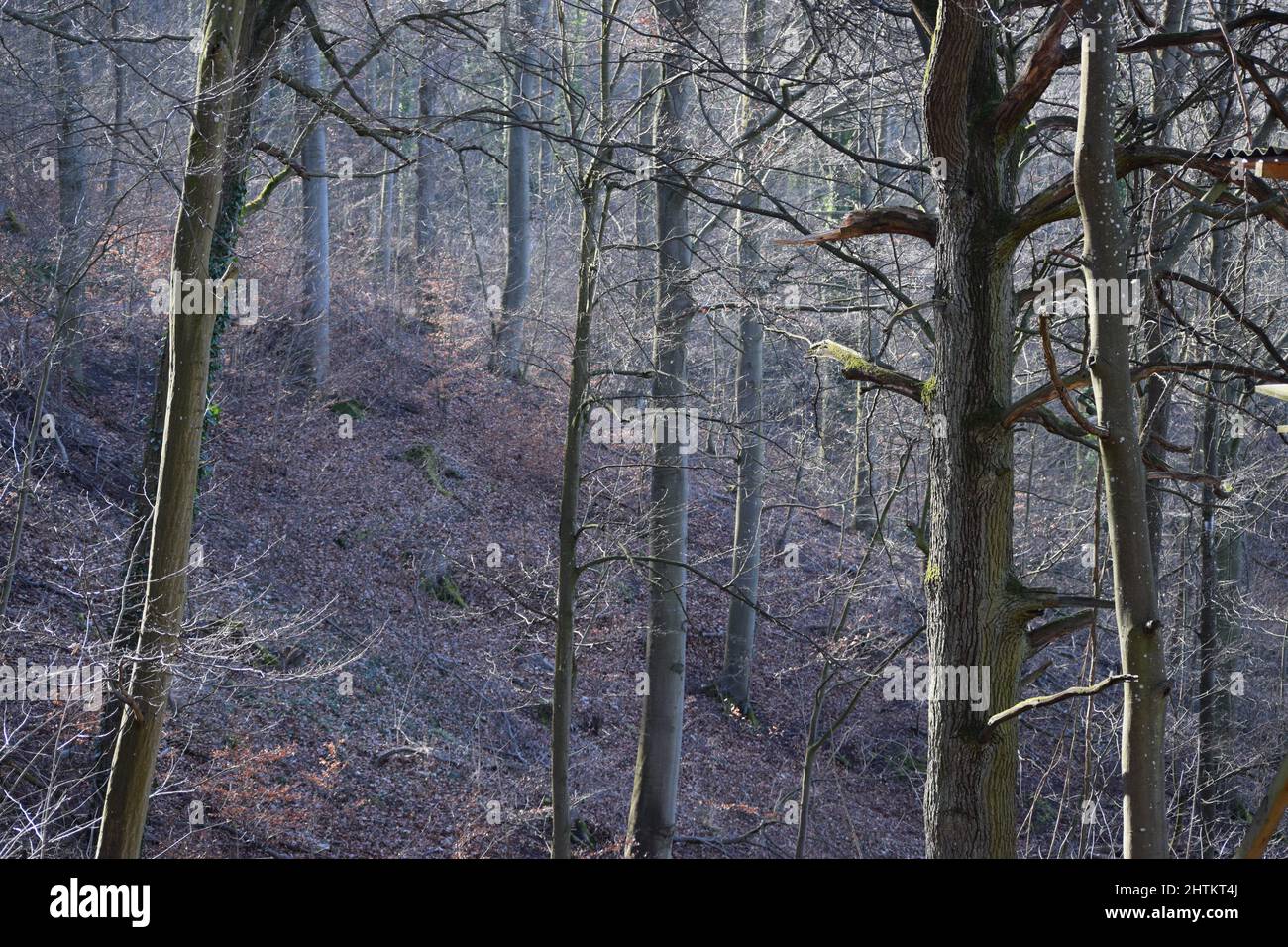 Ideal shooting position hi-res stock photography and images - Alamy