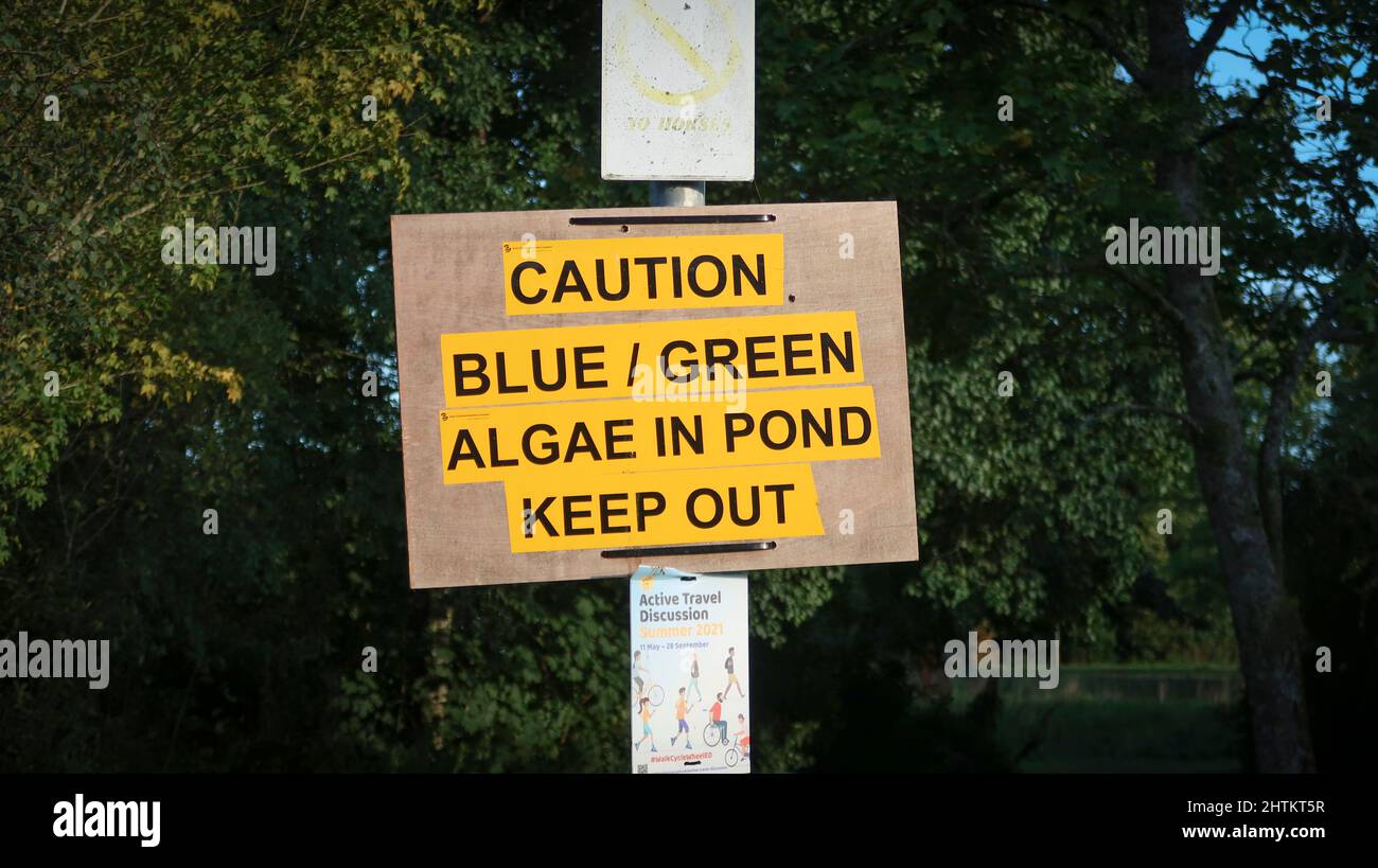Warning sign for Blue Green Algae in pond Stock Photo - Alamy