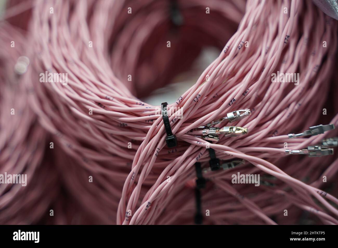 Pink Color Long Electric Cables Stock Photo - Alamy